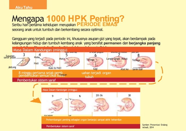 Gizi Pada 1000 Hari Pertama Kehidupan.pptx