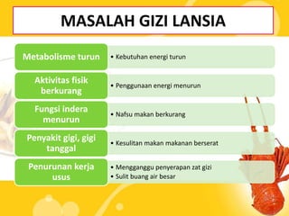 GIZI PADA LANSIA.pptx
