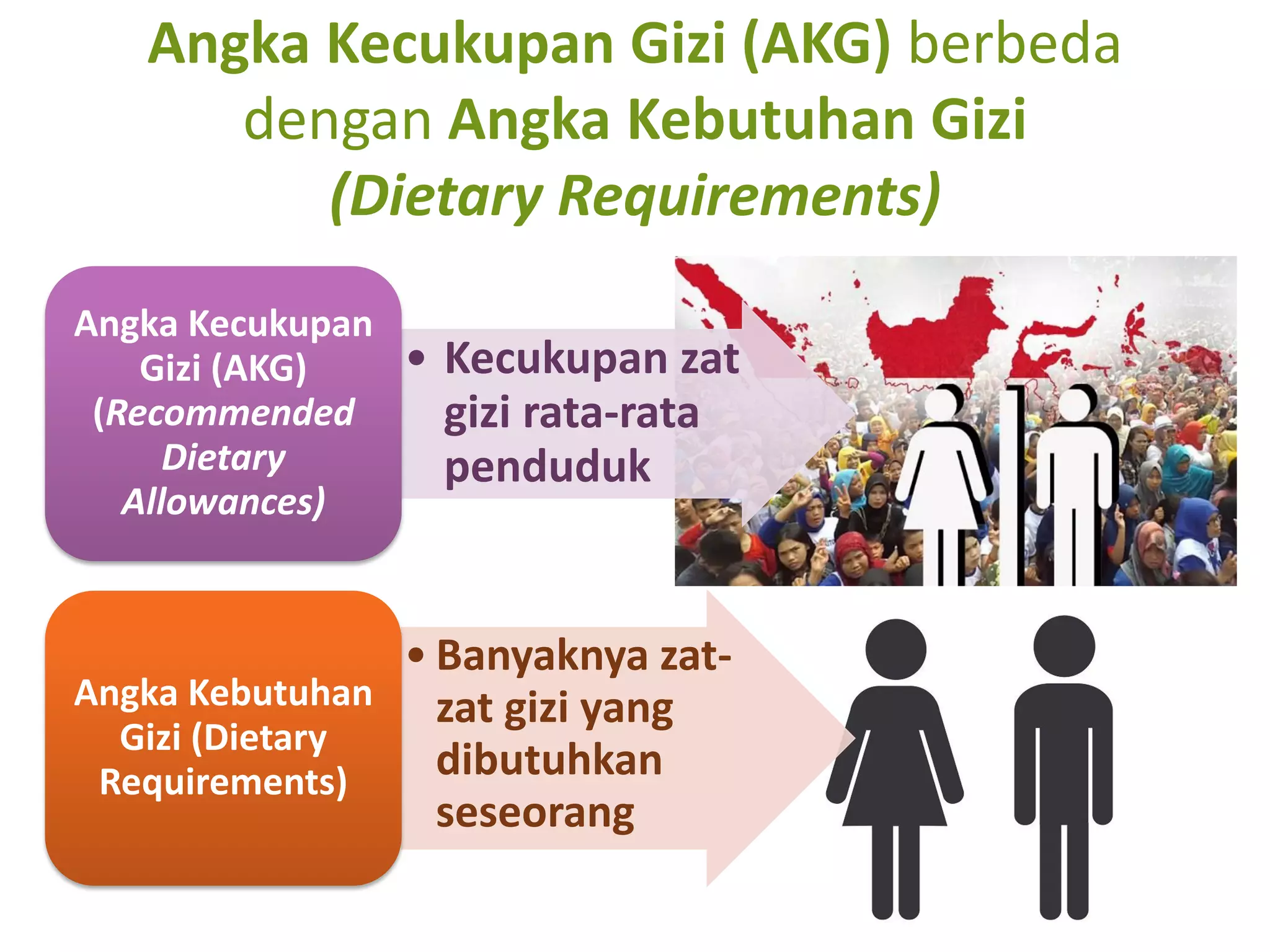 Gizi seimbang dan energi | PDF