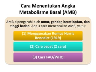Gizi seimbang dan energi | PDF