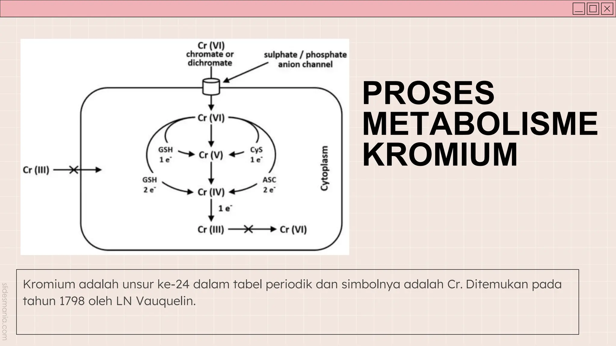 Proses Metabolisme Vitamin | PPTX