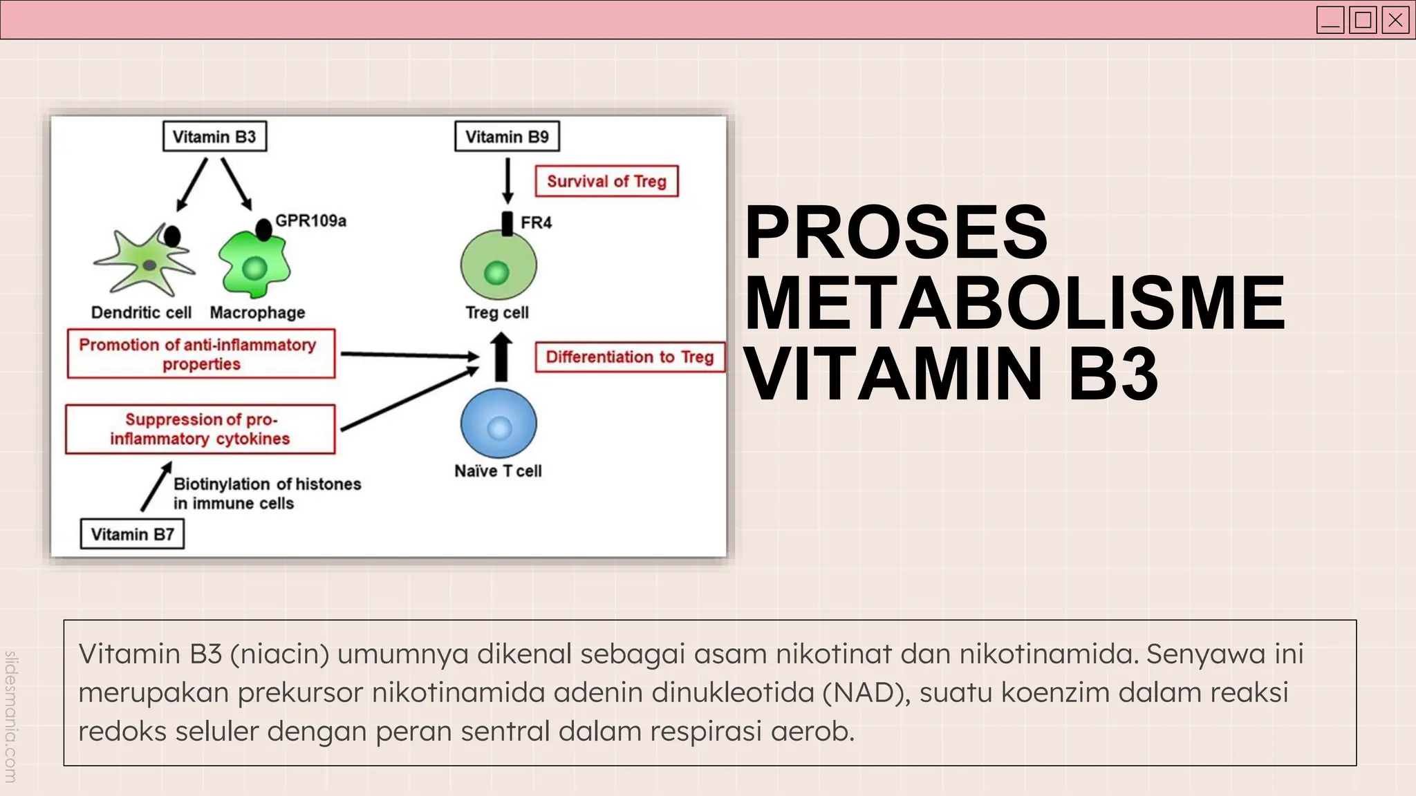 Proses Metabolisme Vitamin | PPTX