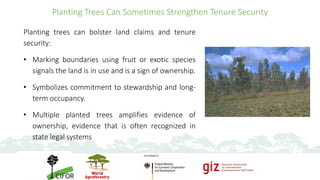 Lessons on land tenure and forest landscape restoration: A focus on sub ...