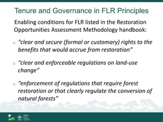 Tenure Security and Forest Landscape Restoration: Research Insights and ...