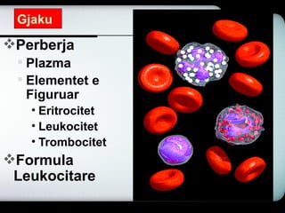 Gjaku | PPT