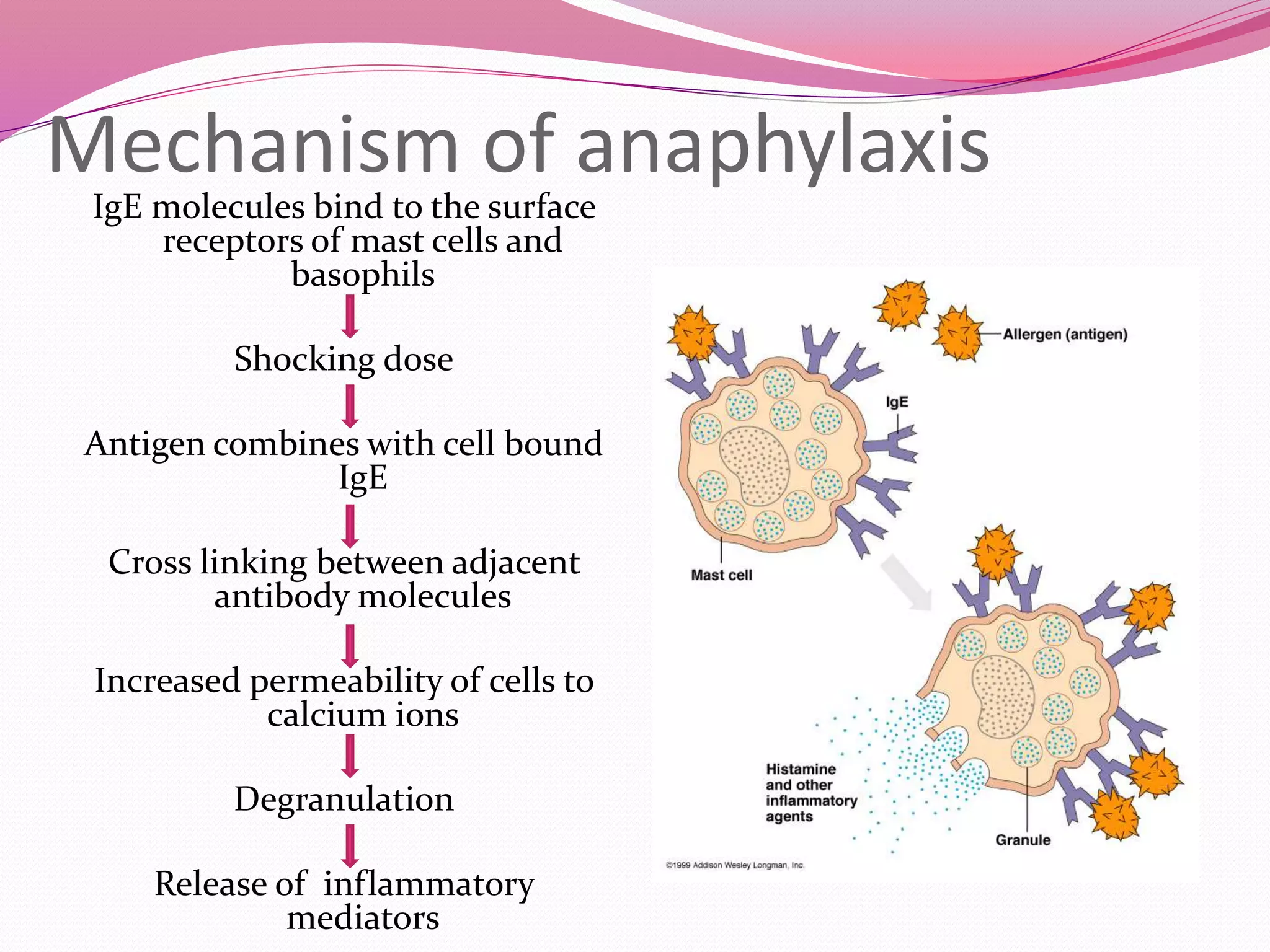 Hypersensitivity | PPTX