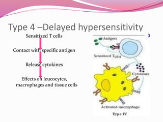 Hypersensitivity | PPT