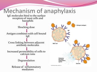 Hypersensitivity Pptx