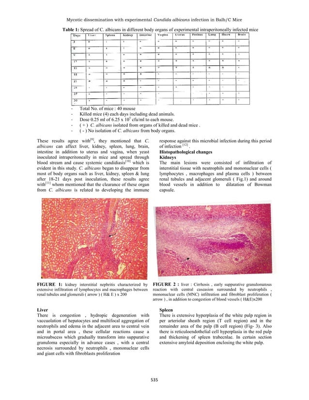 Pathology Article | PDF