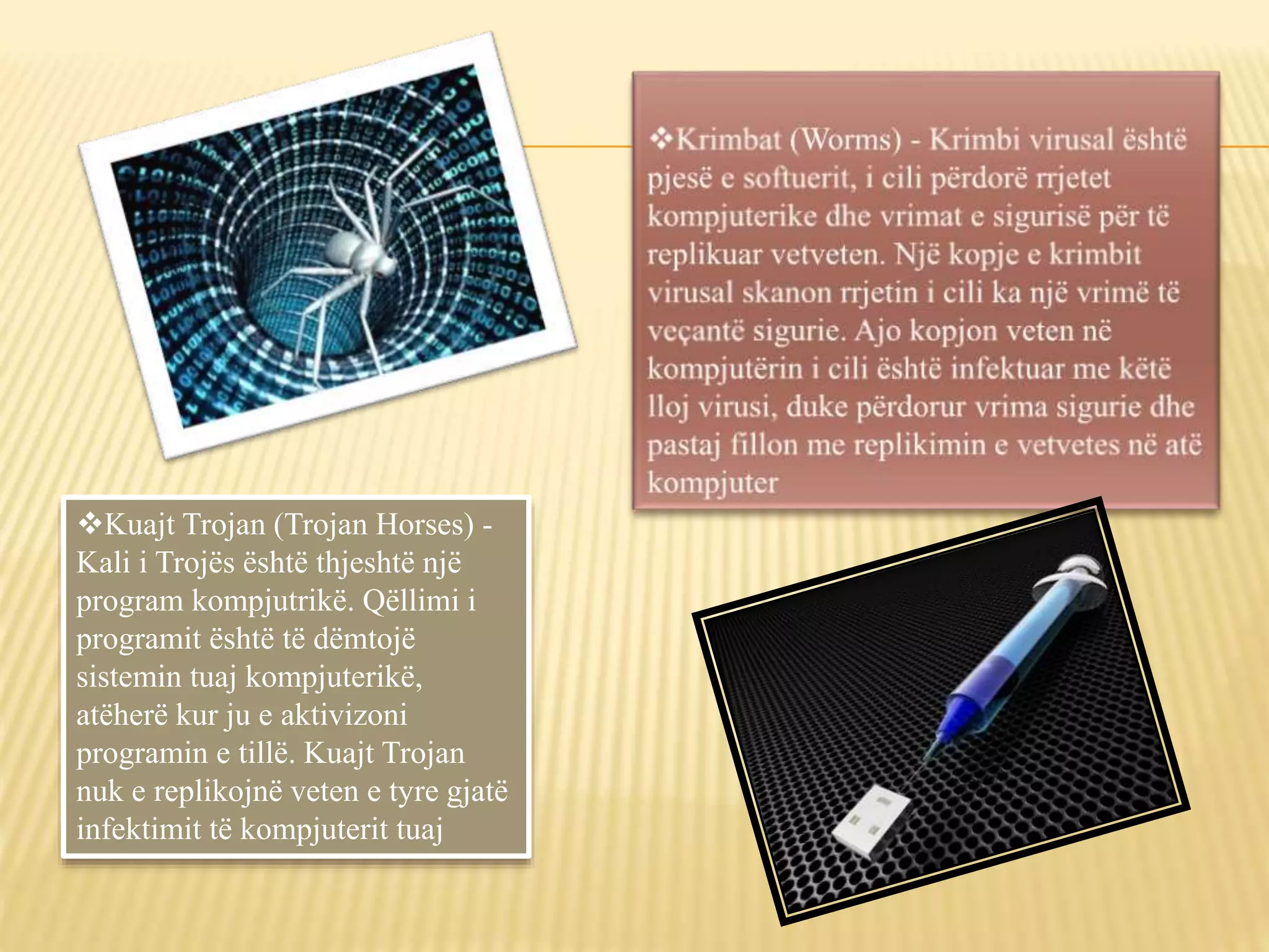 VIRUSET DHE ANTIVIRUSET | PPTX