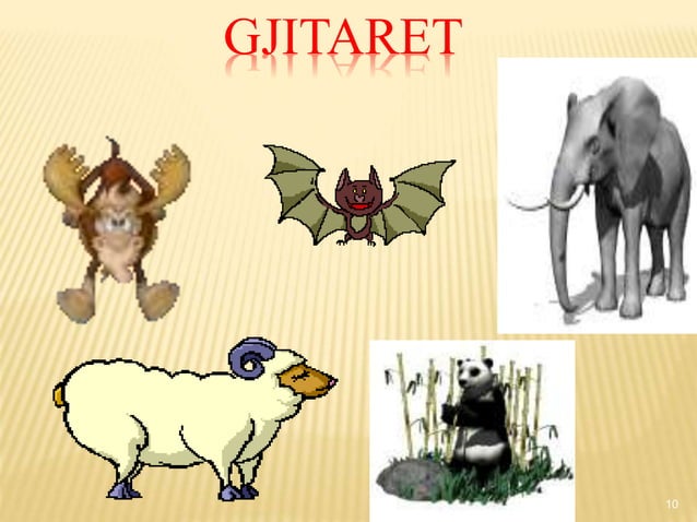 Gjitaret projekt | PPT