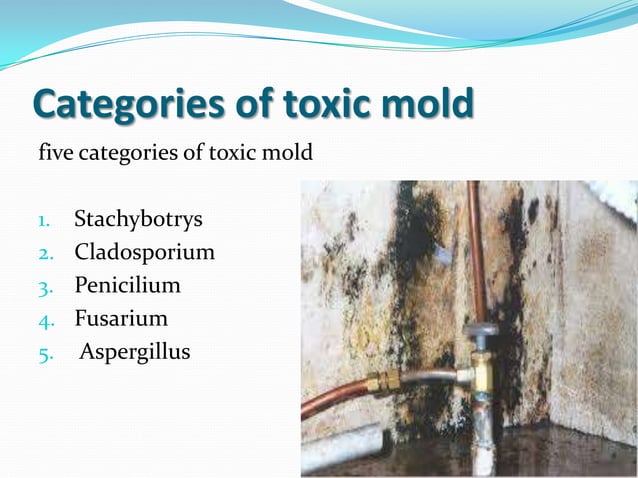 toxic molds | PPT