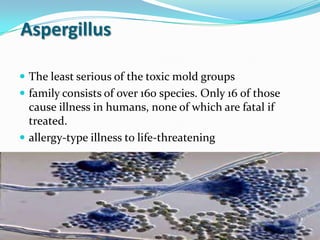 toxic molds | PPTX