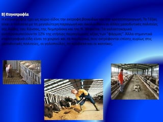 Βόρεια Αμερική | PPT