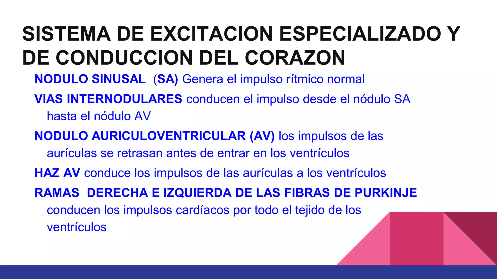 Sistema de exitacion del corazon | PPTX