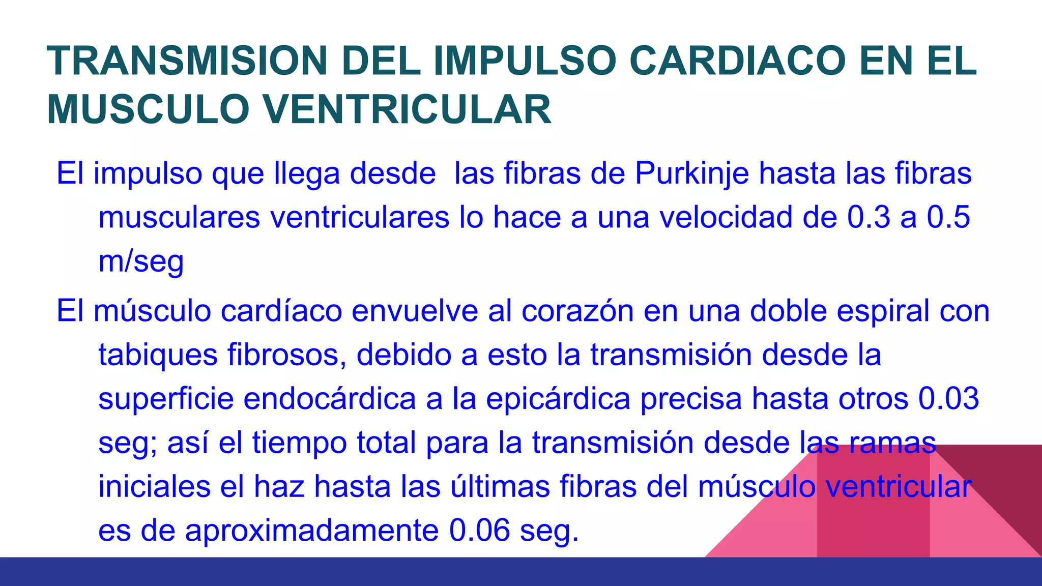 Sistema de exitacion del corazon | PPTX