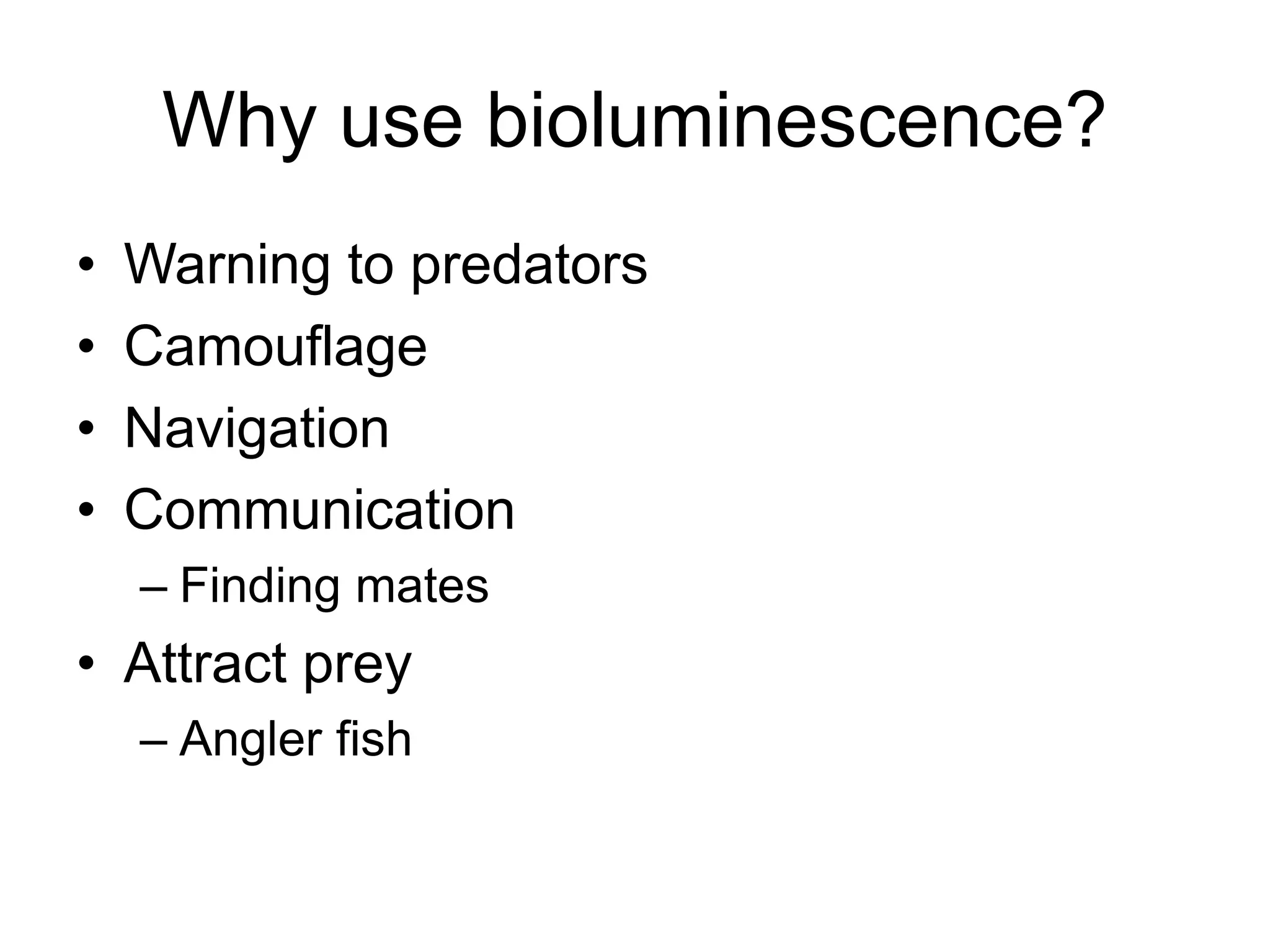 GK12-Fifth-BioluminescencePPT.ppt