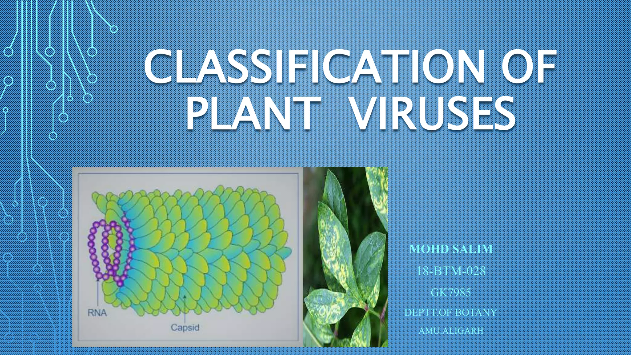 Classification of plant viruses | PPTX