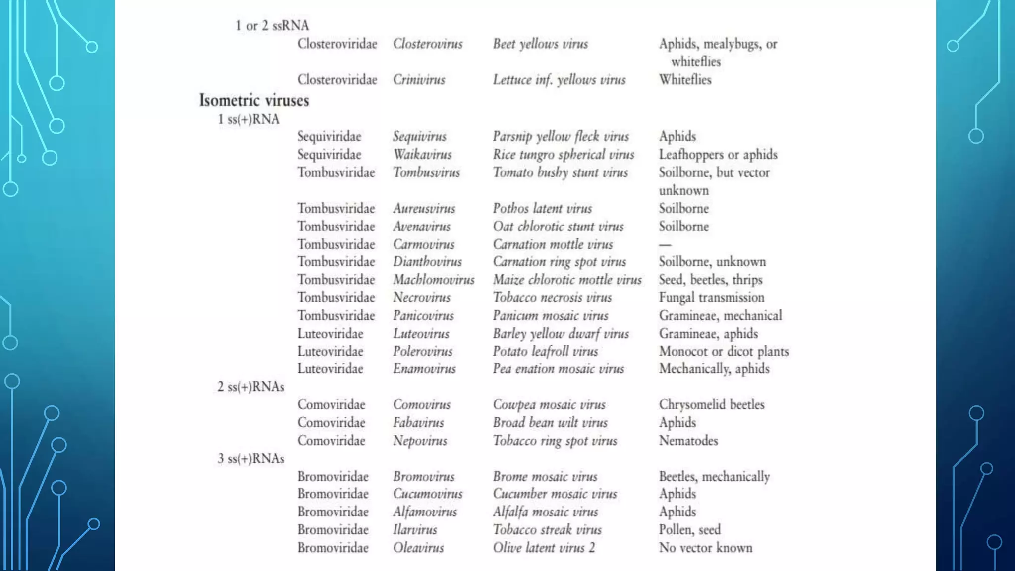 Classification of plant viruses | PPTX