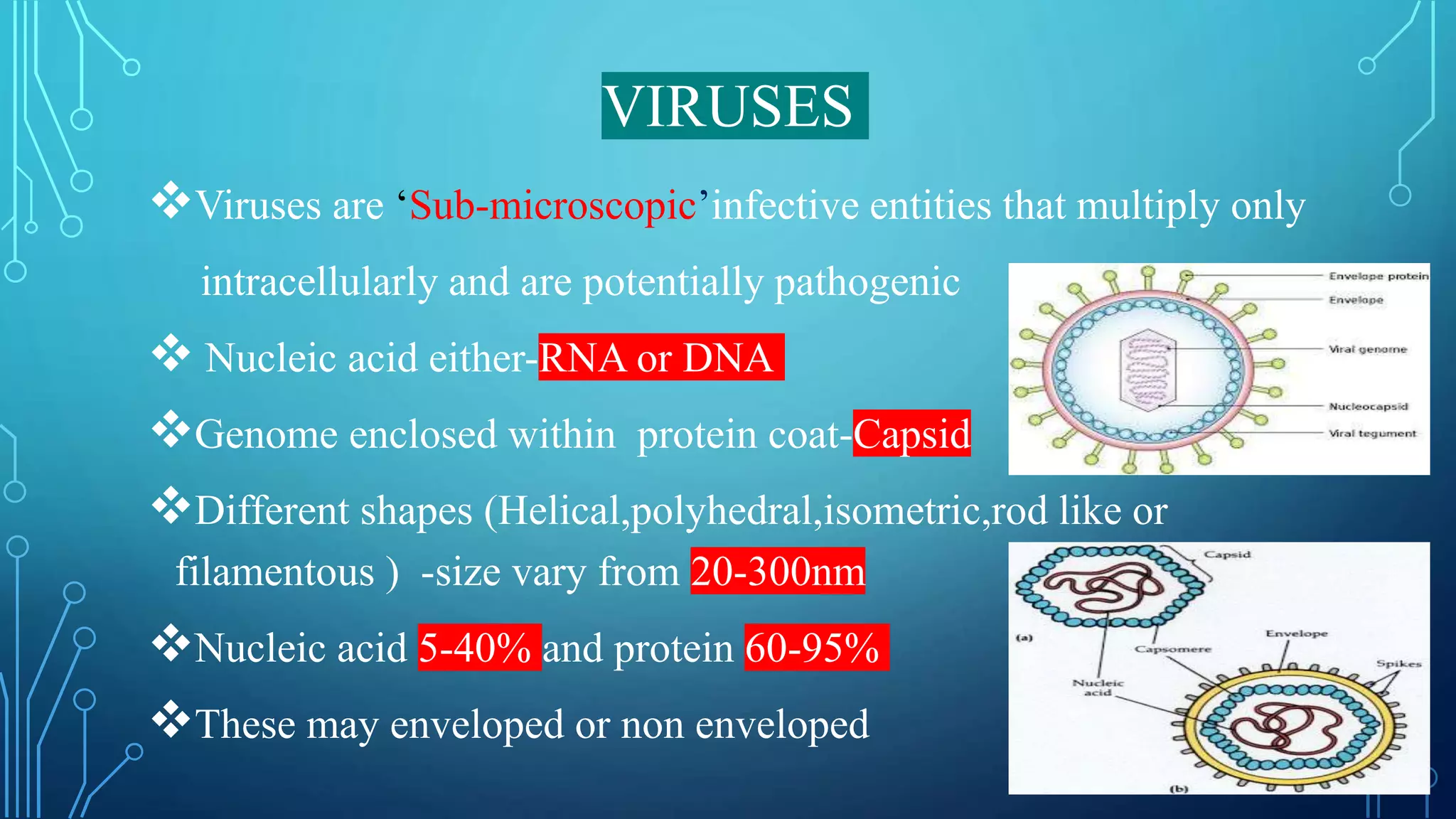 Classification of plant viruses | PPTX