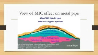 Microbial Biocorrosion - An Introduction... | PPTX