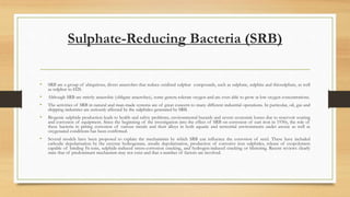 Microbial Biocorrosion - An Introduction... | PPTX