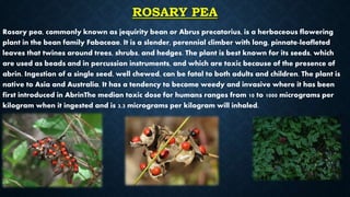 Gk poisonous plant presentation | PPTX