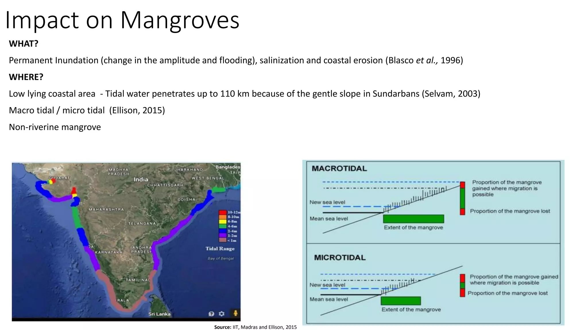 Climate Change Effects on Mangroves - Indian context | PPTX