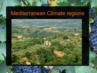 Permaculture in Mediterranean Climate Regions Presented by Byron Joel | PPT