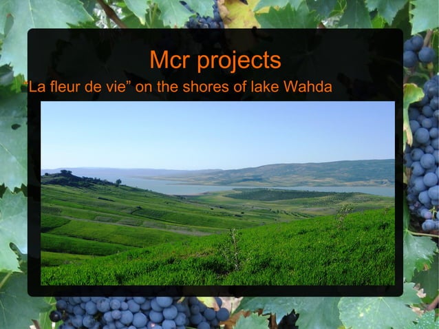 Permaculture in Mediterranean Climate Regions Presented by Byron Joel | PPT