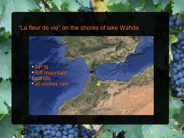 Permaculture in Mediterranean Climate Regions Presented by Byron Joel | PPT