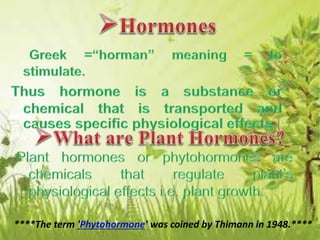 plant hormones powerpoint presentation | PPT
