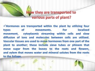 plant hormones powerpoint presentation | PPT