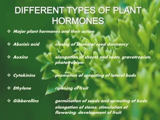 plant hormones powerpoint presentation | PPT