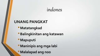 Teorya ng Pinagmulan ng Unang Pilipino | PPTX