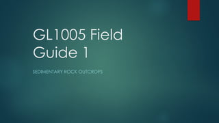 GL1005 - Field Guide 1.pptx . | PPT