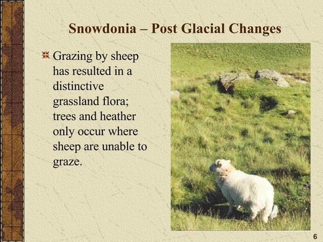 Glaciation In Snowdonia Some Post Glacial Changes | PPT