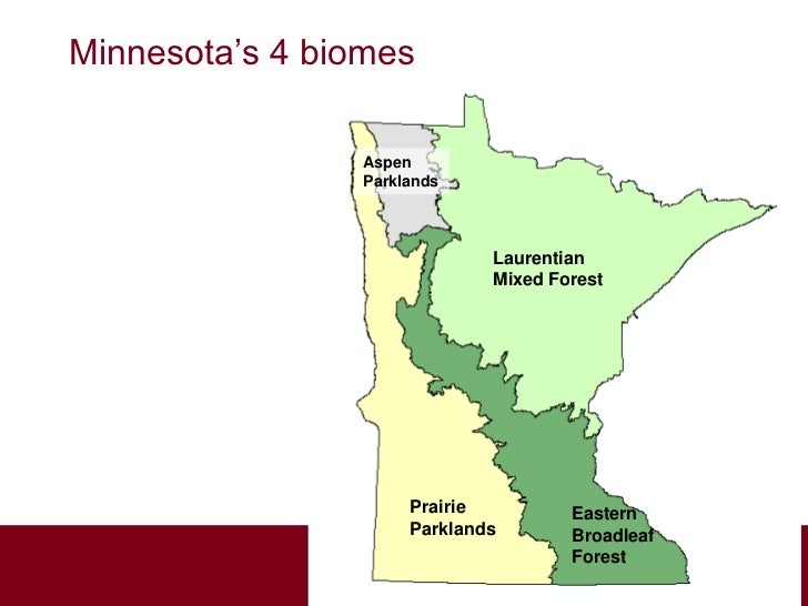 Minnesota Woodlands and Climate Change