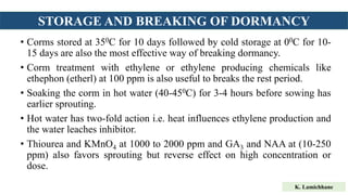 Gladiolous Cultivation practices by AKL.pdf