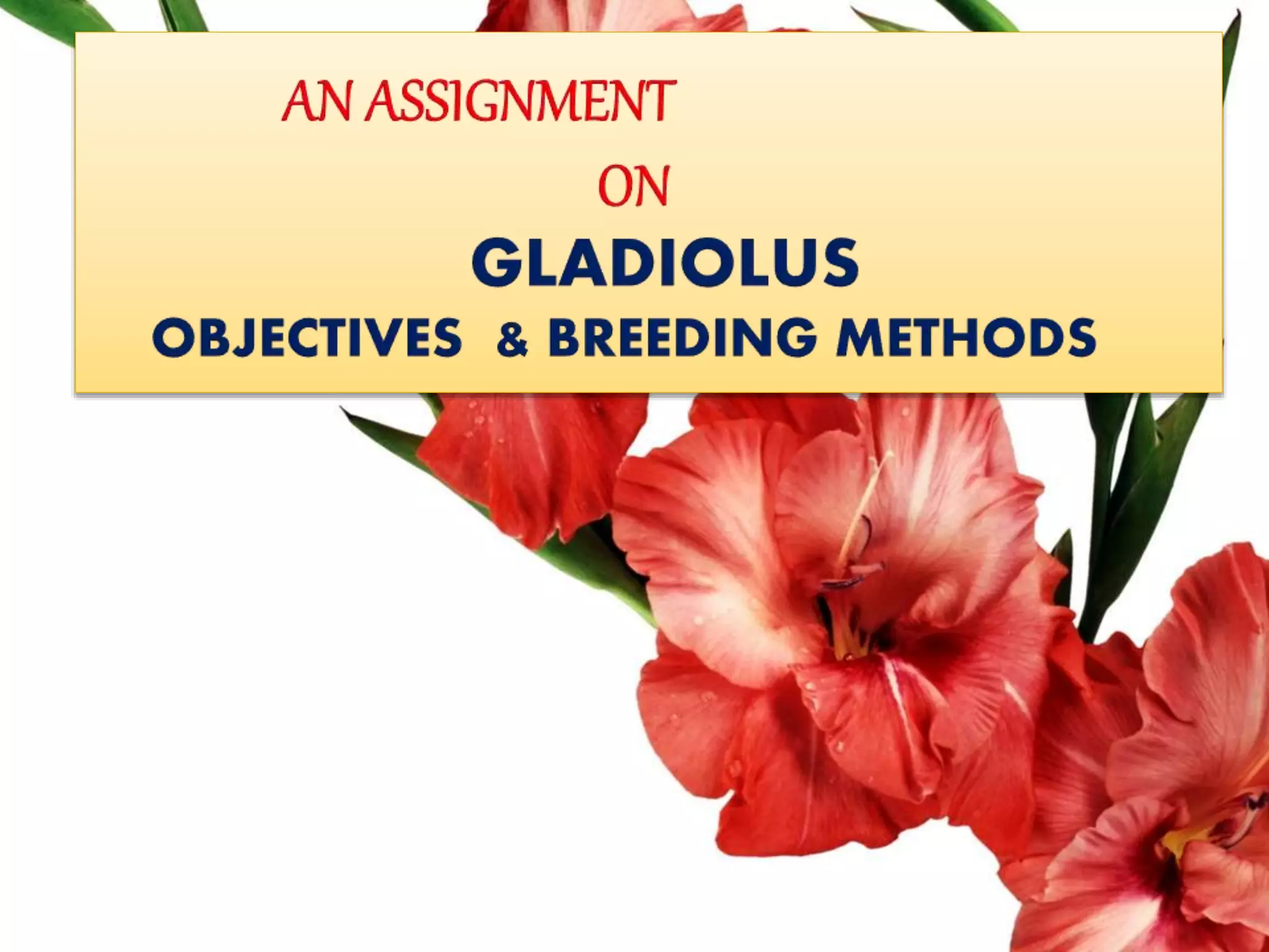 Gladiolus objectives & breeding methods | PPTX
