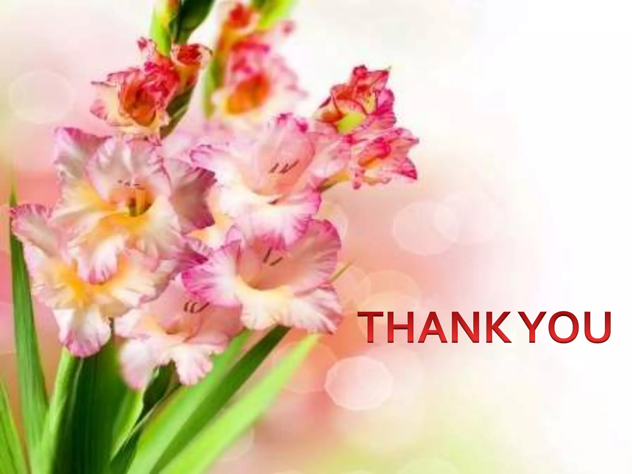 Gladiolus objectives & breeding methods | PPTX