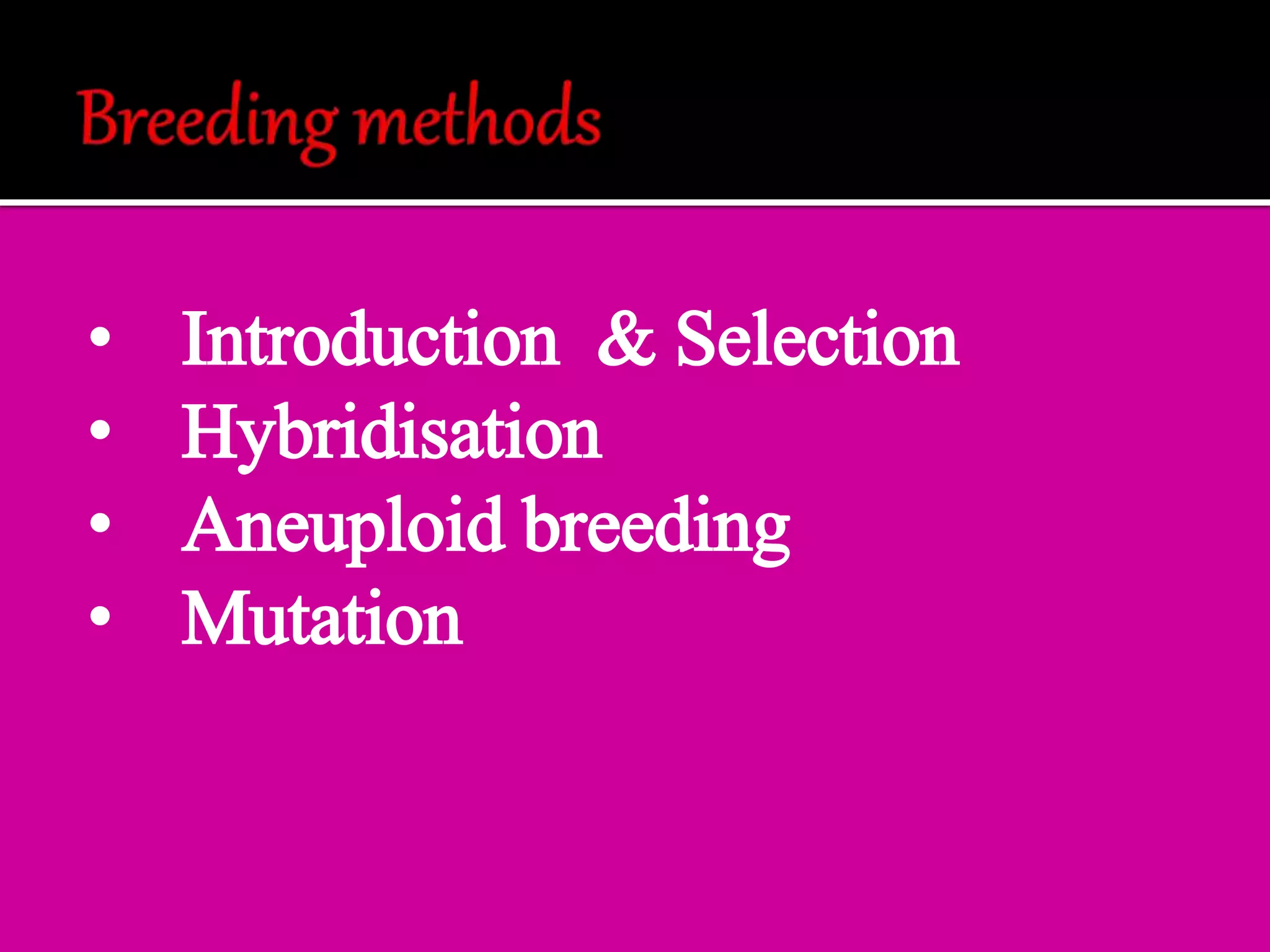 Gladiolus objectives & breeding methods | PPTX