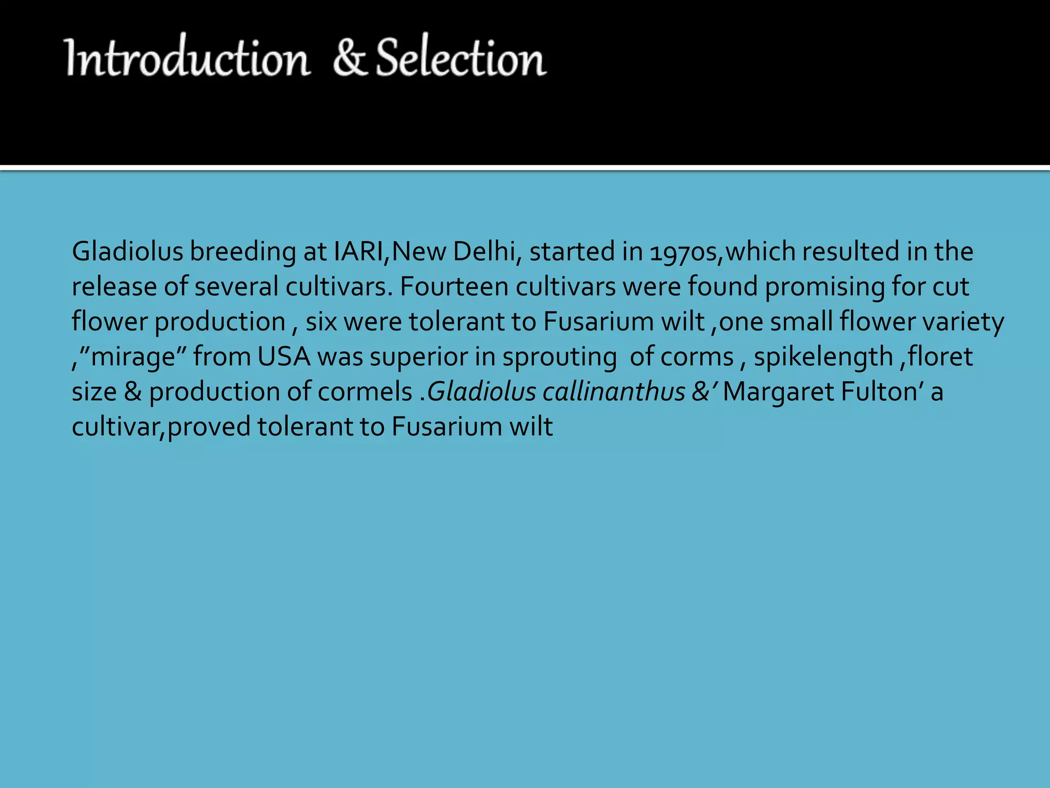 Gladiolus objectives & breeding methods | PPTX