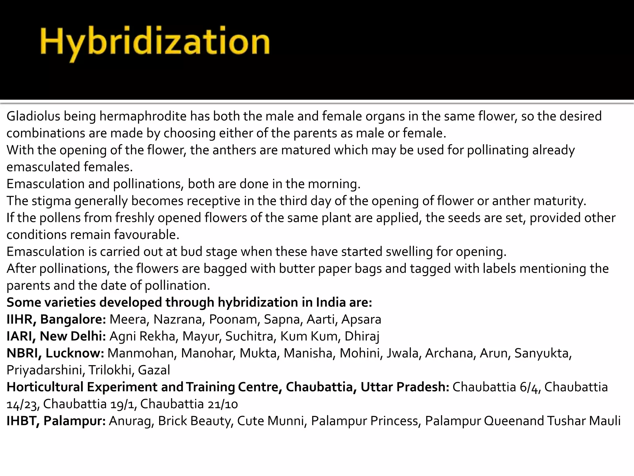 Gladiolus objectives & breeding methods | PPTX