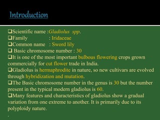 Gladiolus objectives & breeding methods | PPT
