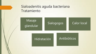 Patología de glándulas salivales en pacientes pediátricos | PPTX