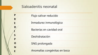 Patología de glándulas salivales en pacientes pediátricos | PPTX