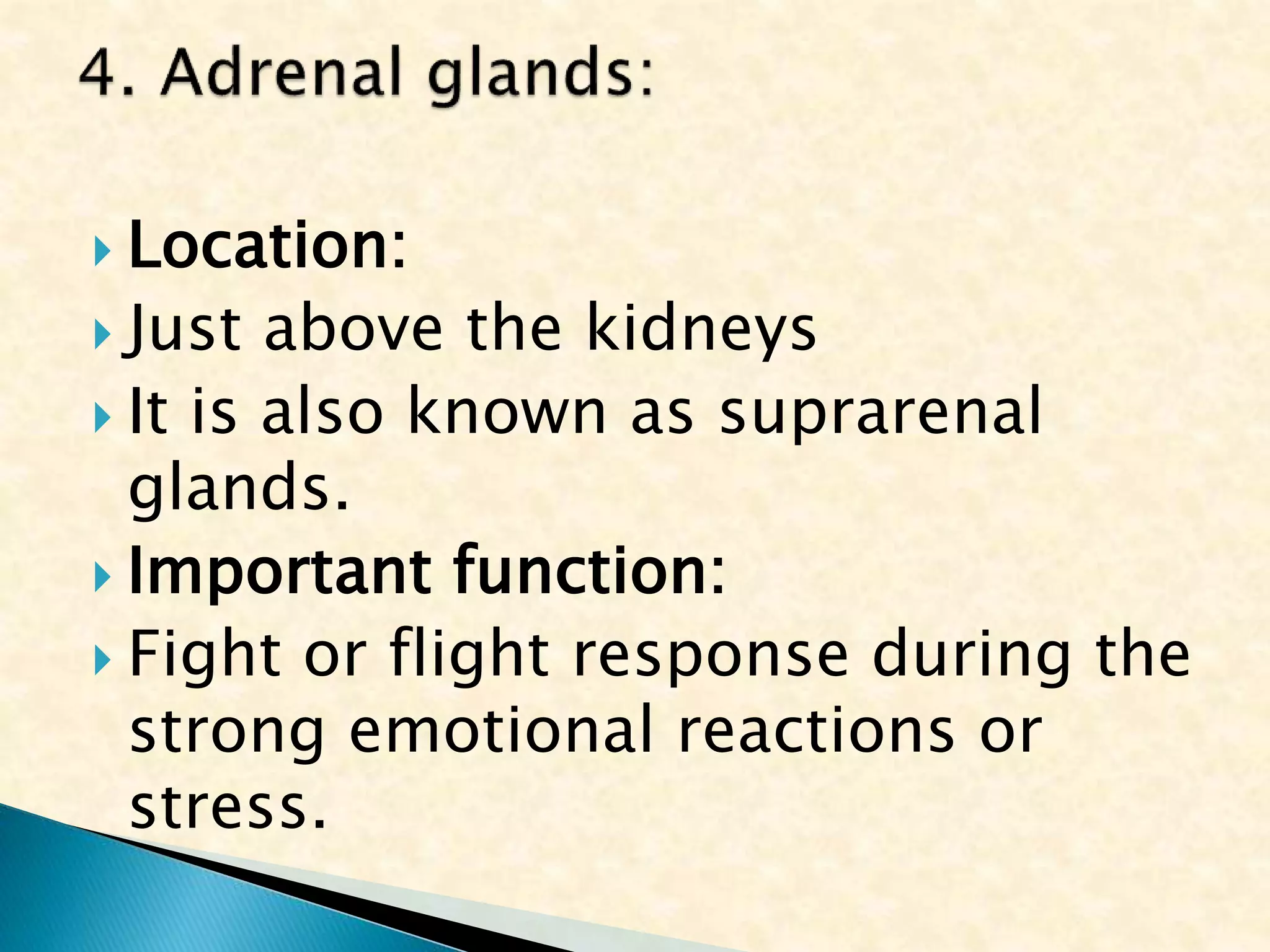 Glandular behaviour | PPTX