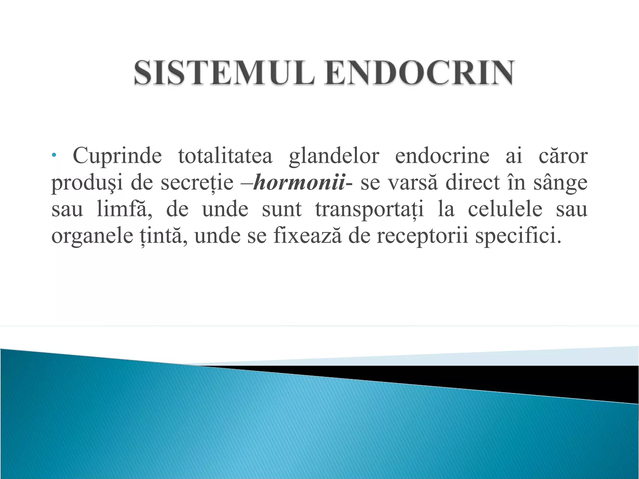 Glandele endocrine | PPT