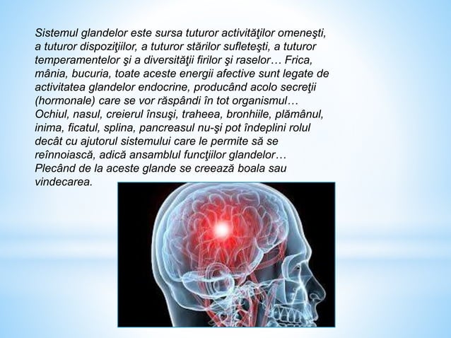 Glandele endocrine.pptx